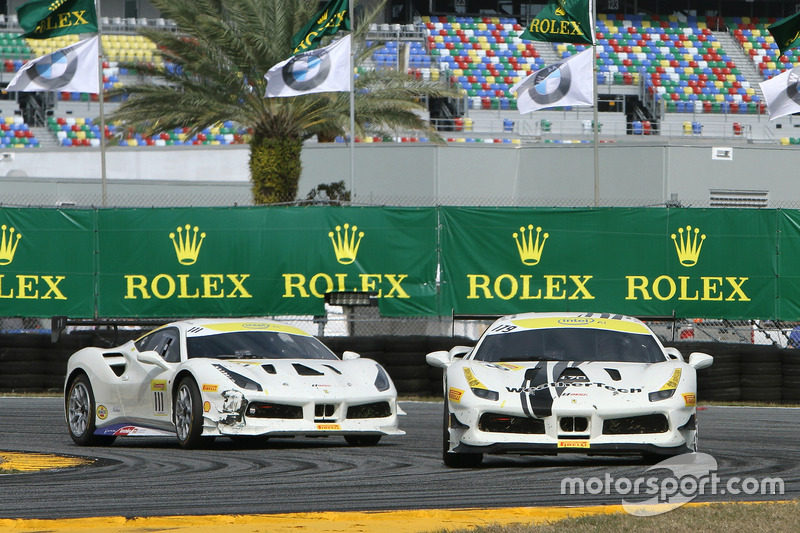 David MacNeil-nieuws, bio, foto's, video's en meer