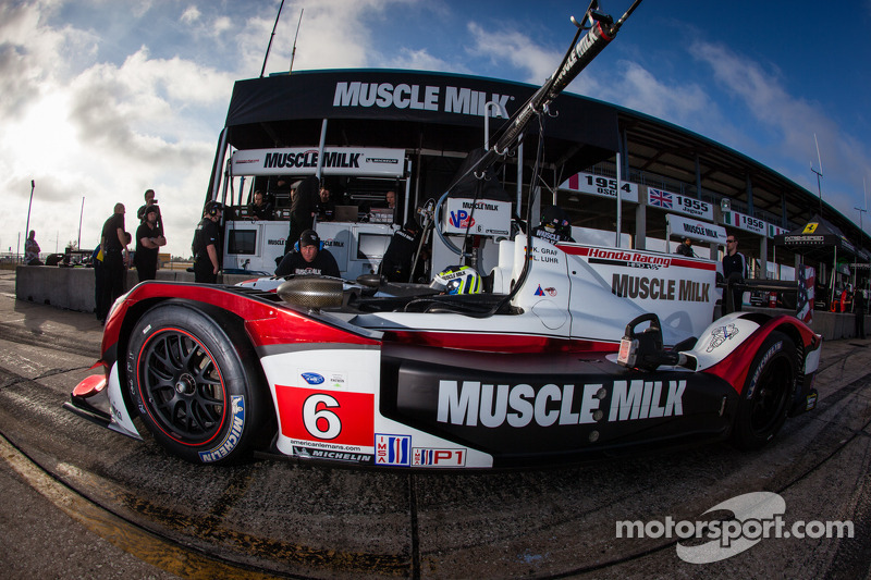 The Sebring Challenge - Muscle Milk Pickett Racing preview video