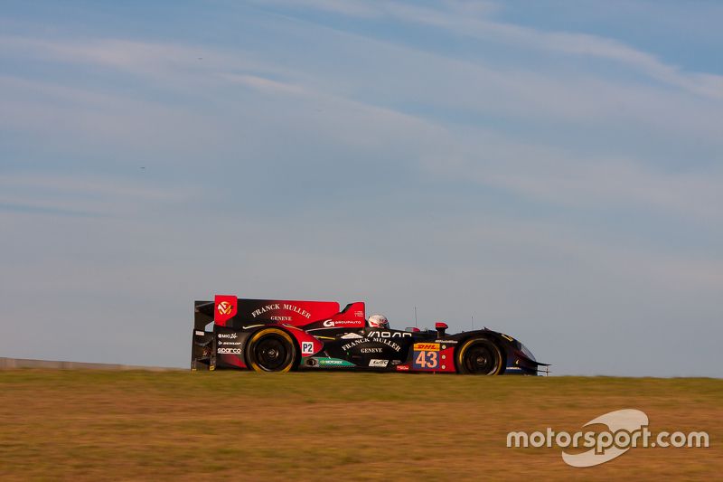 Archie Hamilton Profile - Bio, News, High-Res Photos & High Quality Videos